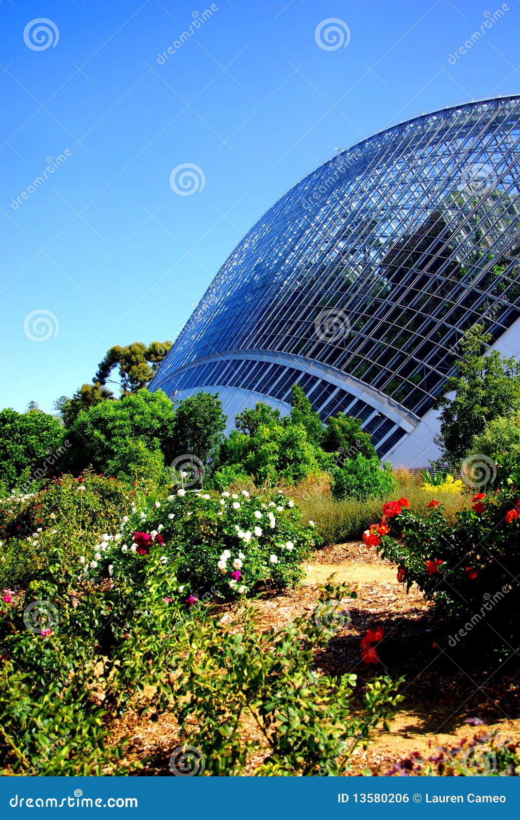 Rainforest Conservatory stock photo. Image of gardens - 13580206