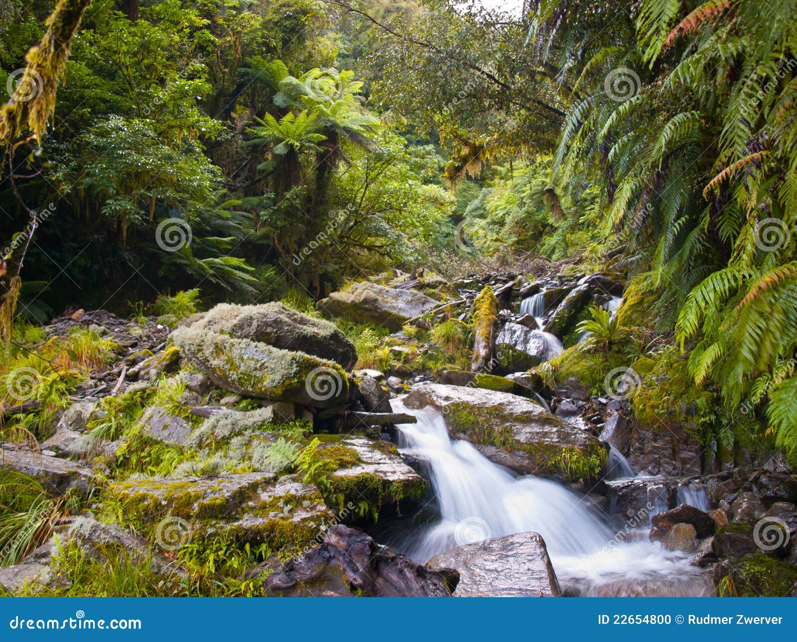 Rainforest creek stock photo. Image of falls, long, mist - 22654800