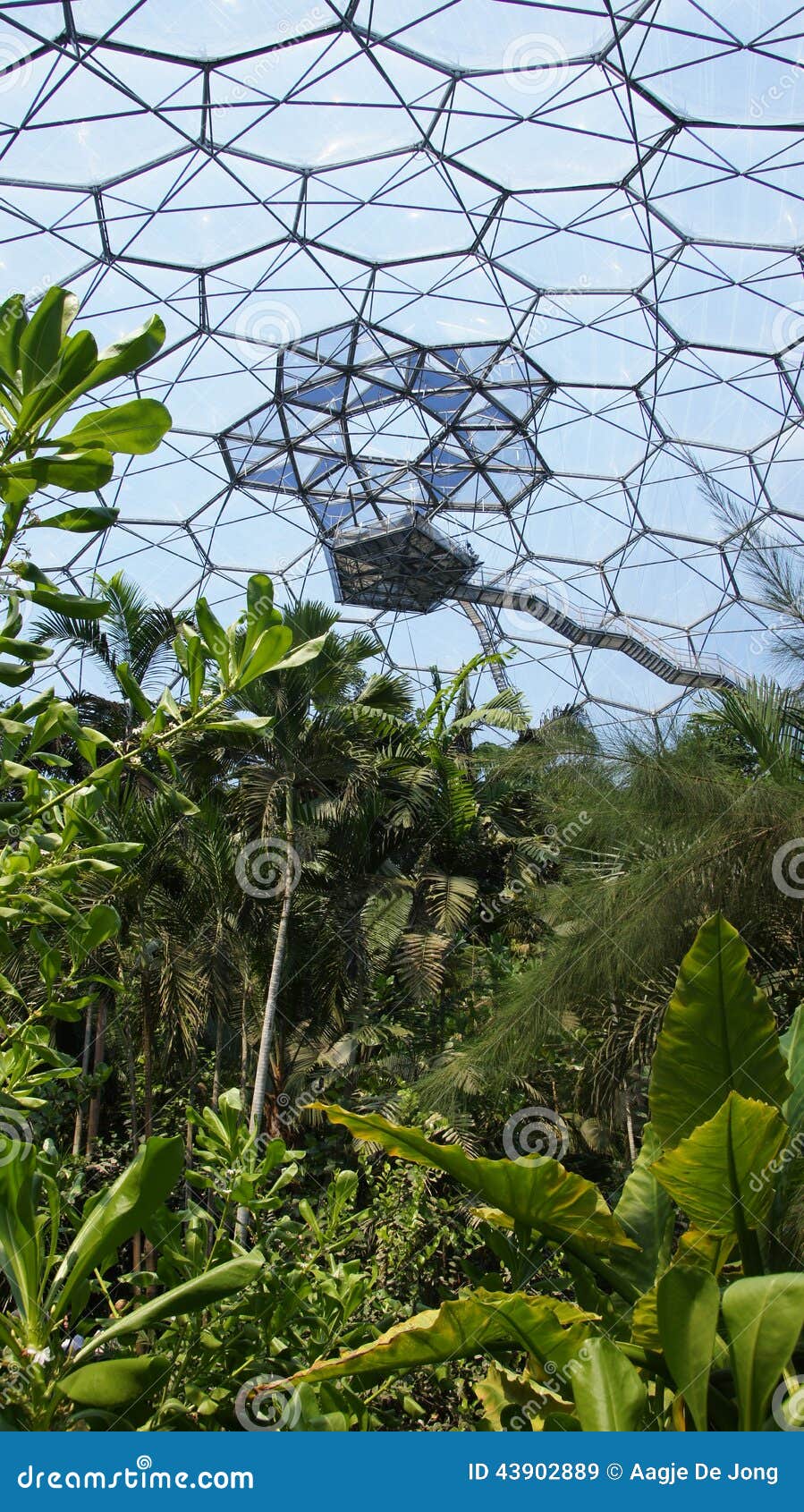 Rainforest of Eden Project in St. Austell Cornwall Stock Image - Image ...