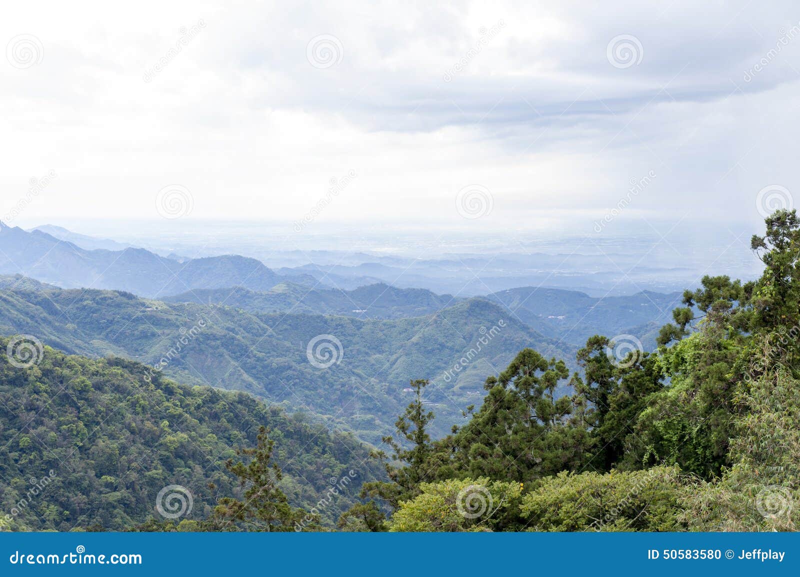 Rainforest stock photo. Image of mountain, high, rain - 50583580