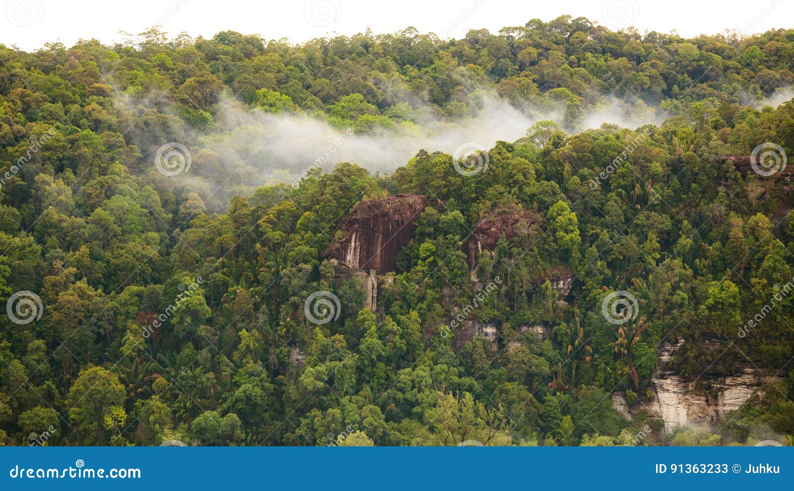 Rainforest hill view stock image. Image of cloud, exotic - 91363233