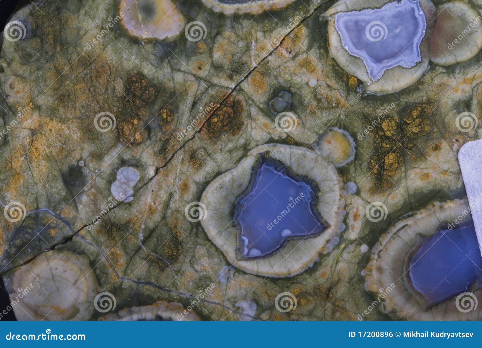Rainforest Jasper with Agate Eyes Stock Photo - Image of natural, slab ...