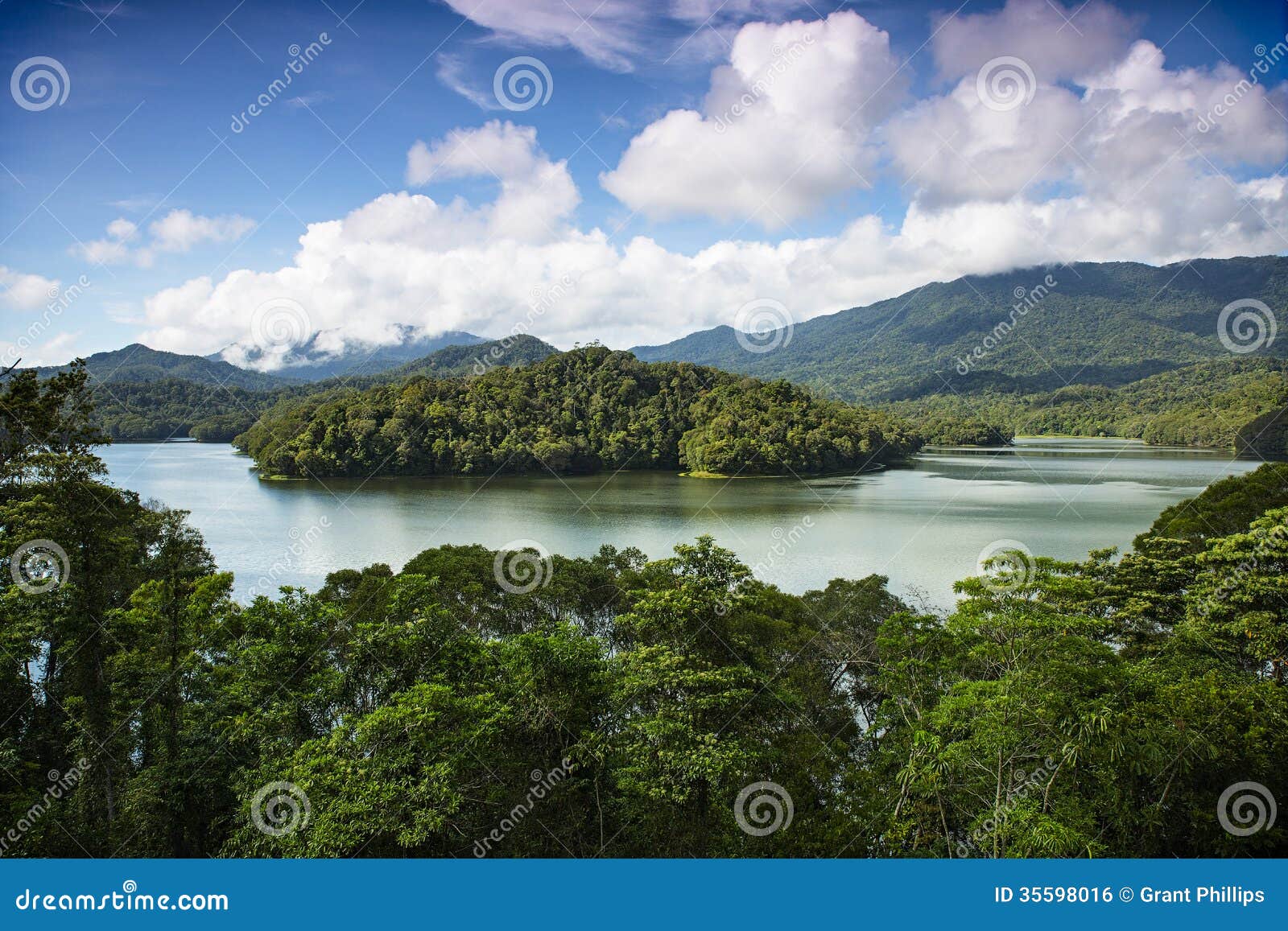 Rainforest Lake stock photo. Image of morris, freshwater - 35598016