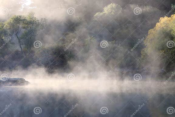Rainforest Mist stock image. Image of sunrise, nature - 6502799