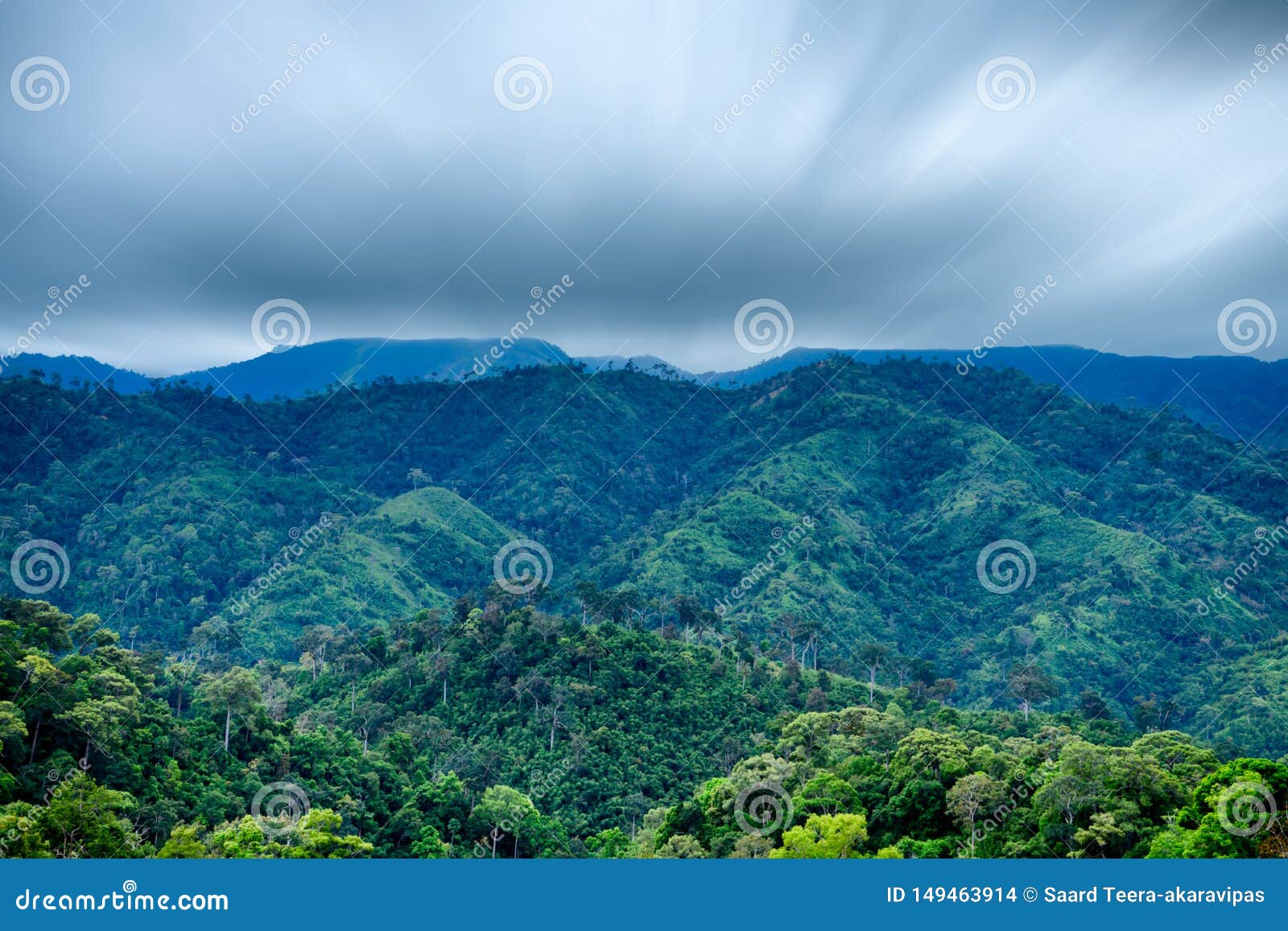 The Rainforest Mountains in the Morning are Covered with Fog Stock ...