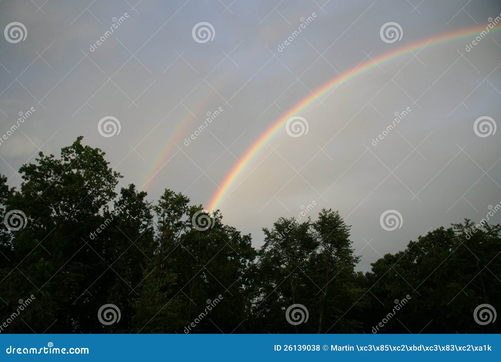 Rainforest rainbow stock photo. Image of optical, light - 26139038