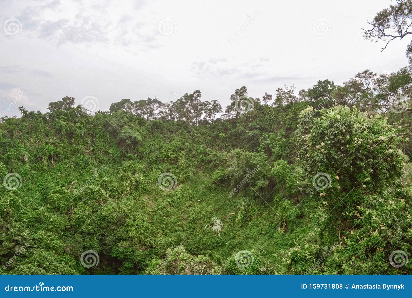 Rainforest Sanya China. Jungle and Stone Structures. Stock Photo ...