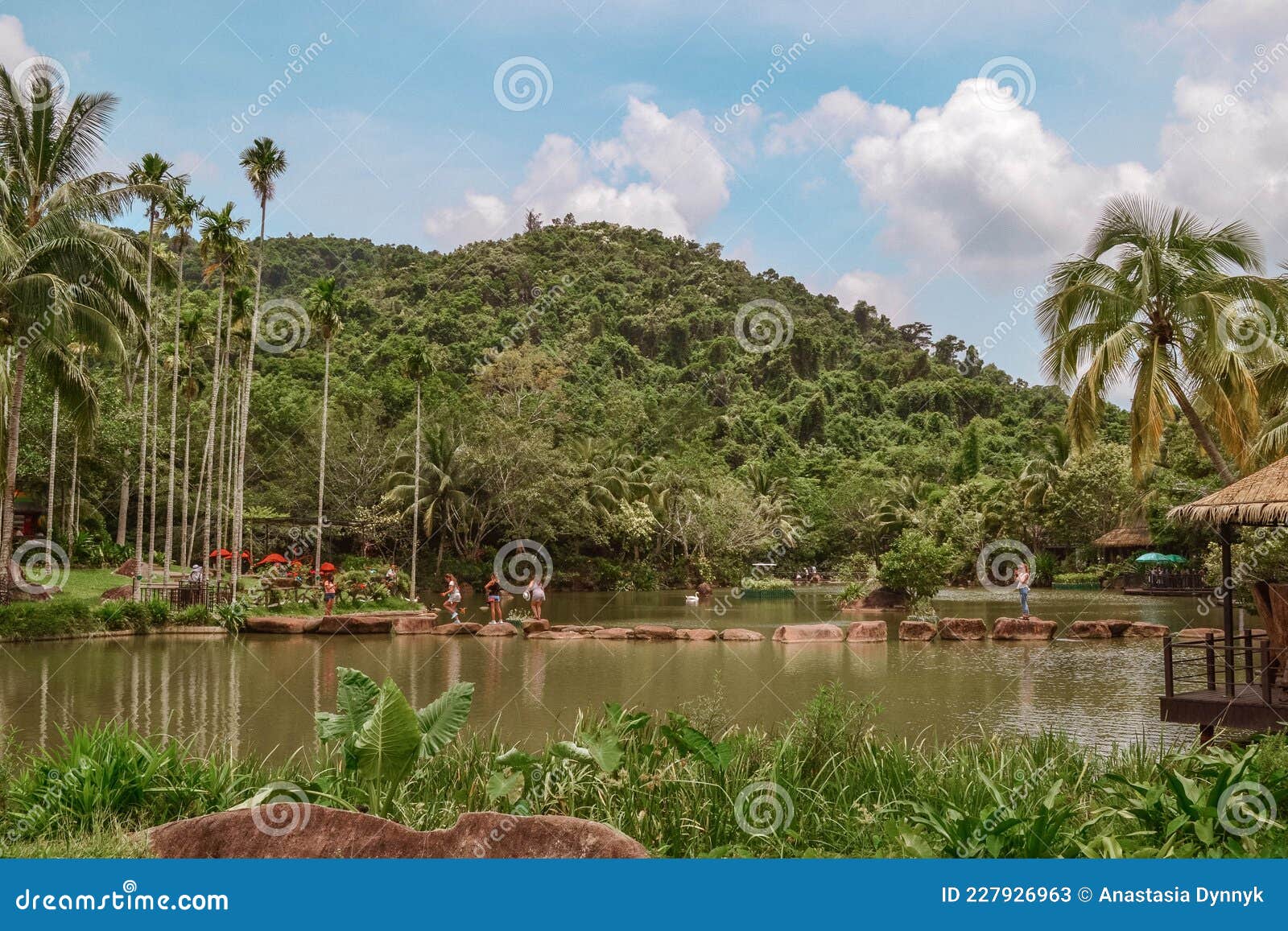Rainforest Sanya China. Jungle and Stone Structures. Stock Image ...