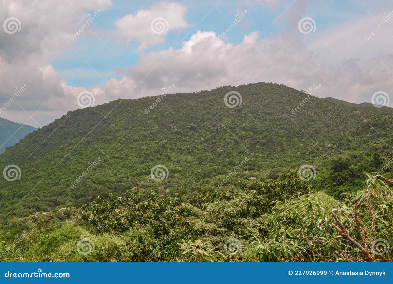 Rainforest Sanya China. Jungle And Stone Structures. Royalty-Free Stock ...