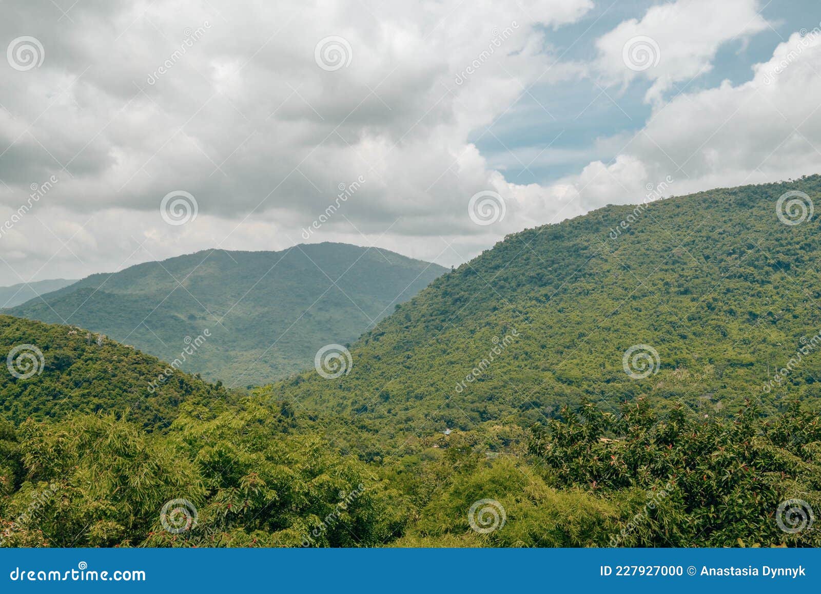Rainforest Sanya China. Jungle and Stone Structures. Stock Photo ...
