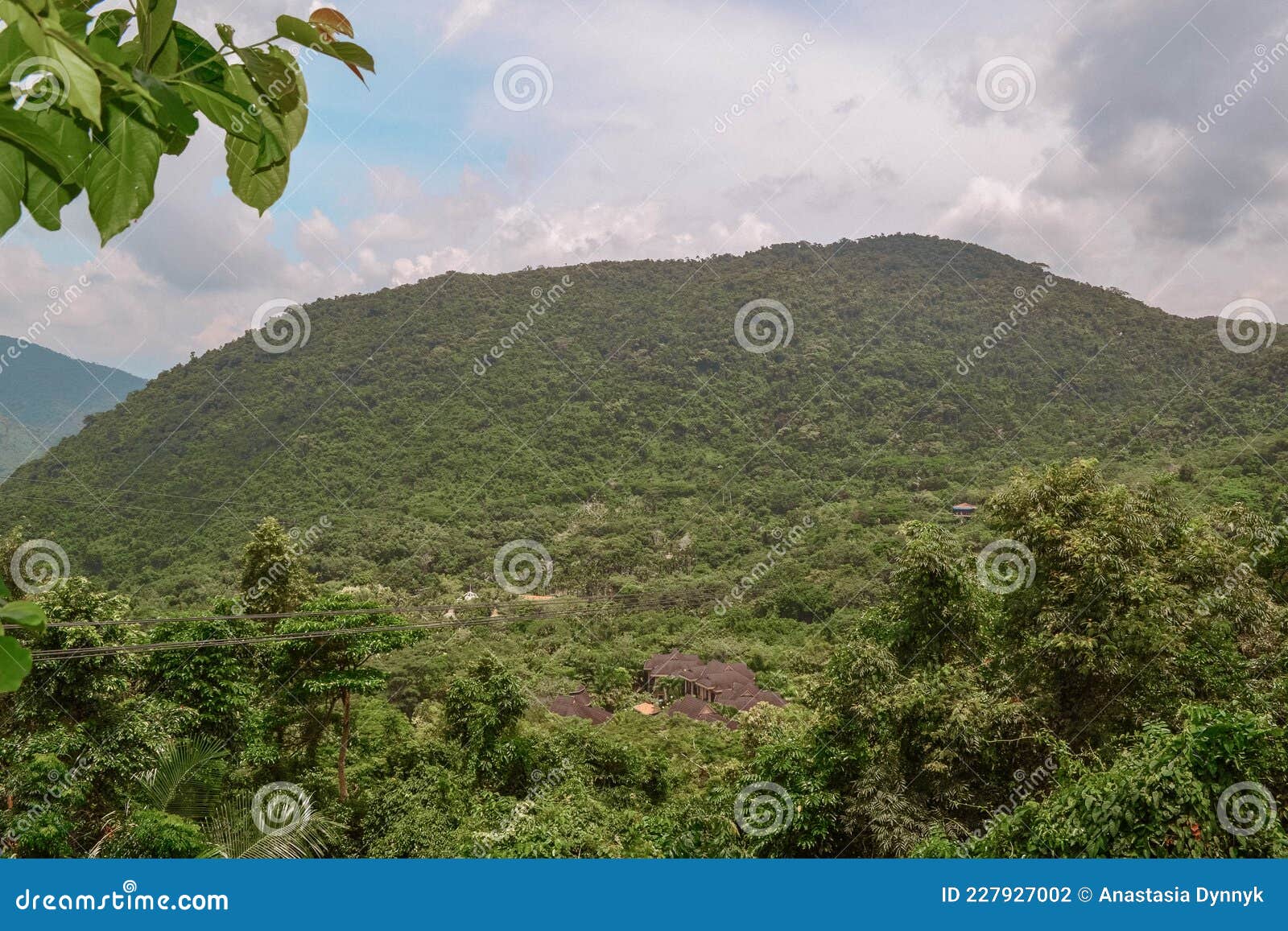 Rainforest Sanya China. Jungle And Stone Structures. Royalty-Free Stock ...