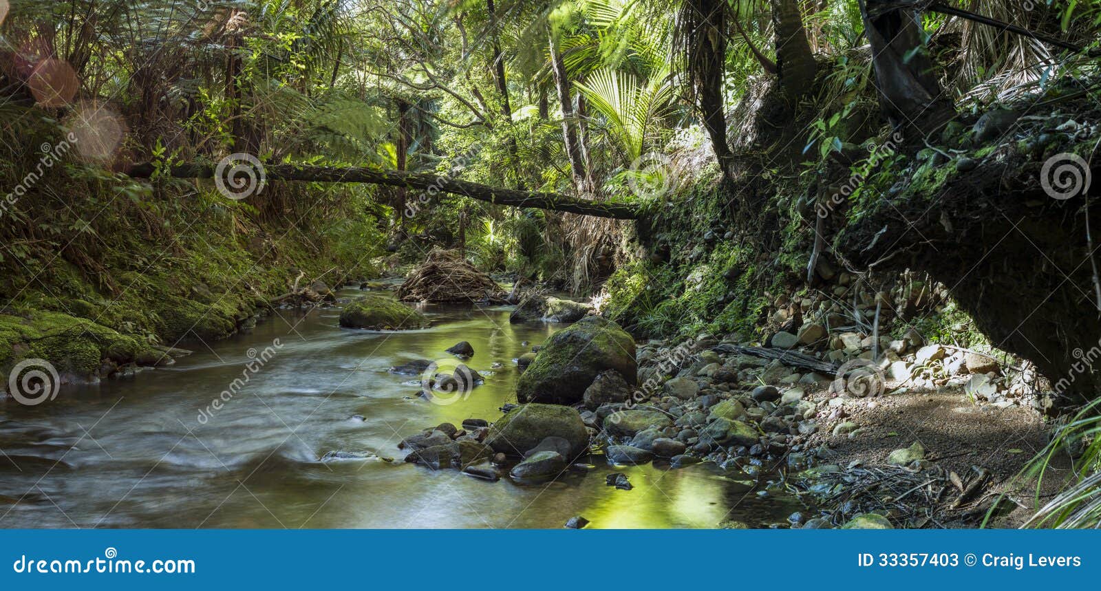 Rainforest stream stock image. Image of creek, stream - 33357403