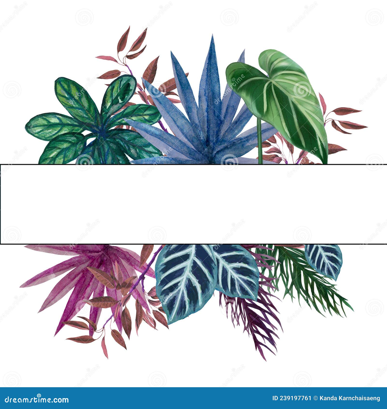 Rainforest Tree Branch Label Border Banner Stock Illustration Stock ...