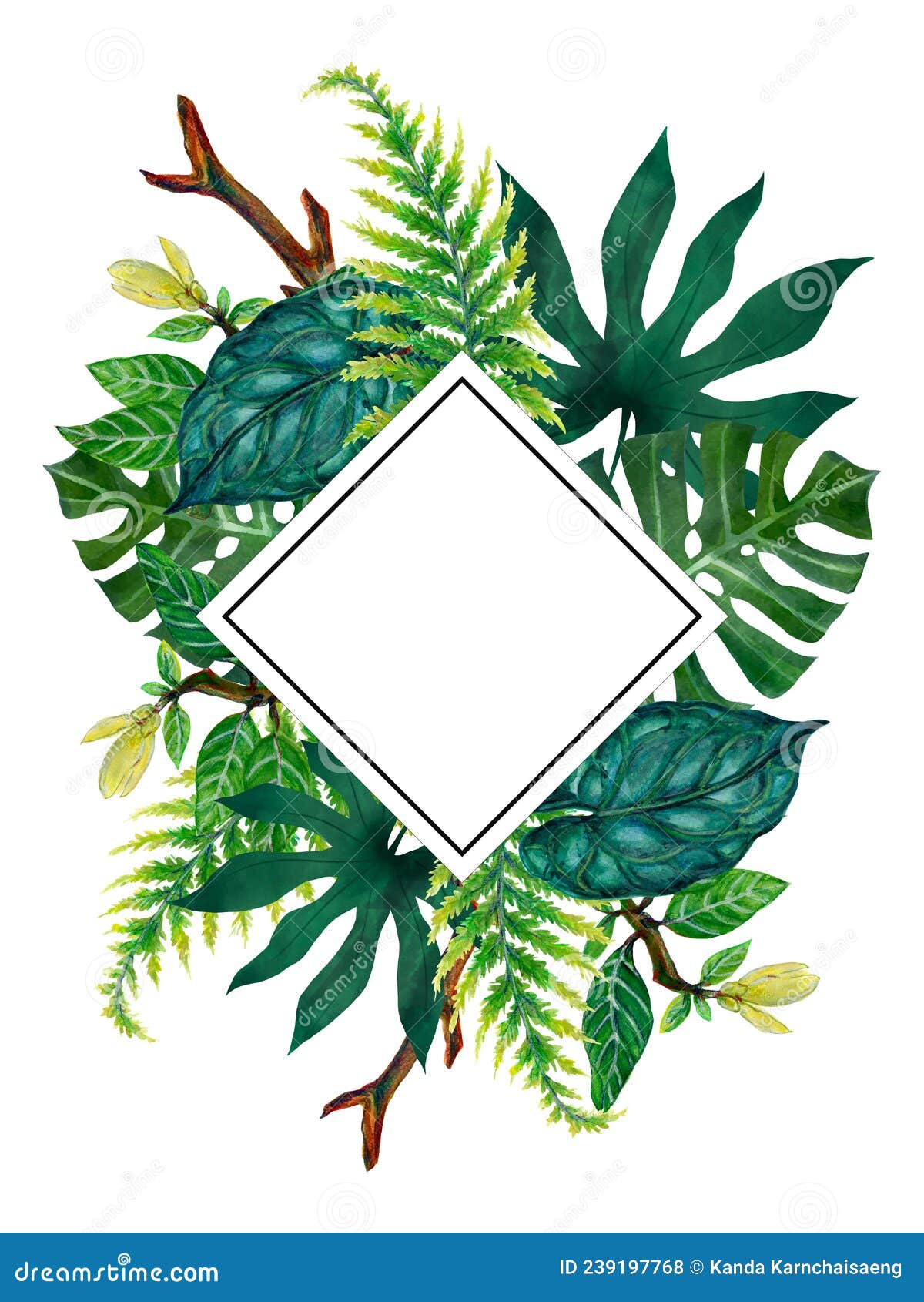 Rainforest Tree Branch Label Border Banner Stock Illustration Stock ...