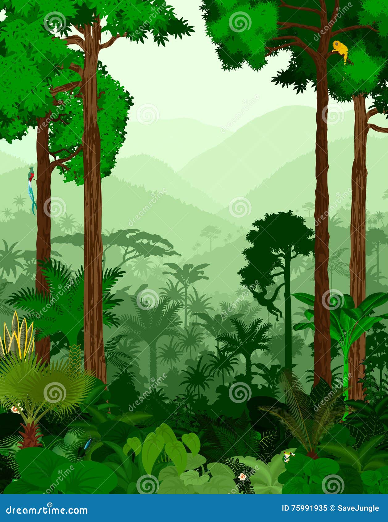 Rainforest Vector Illustration. Stock Vector - Illustration of nature ...