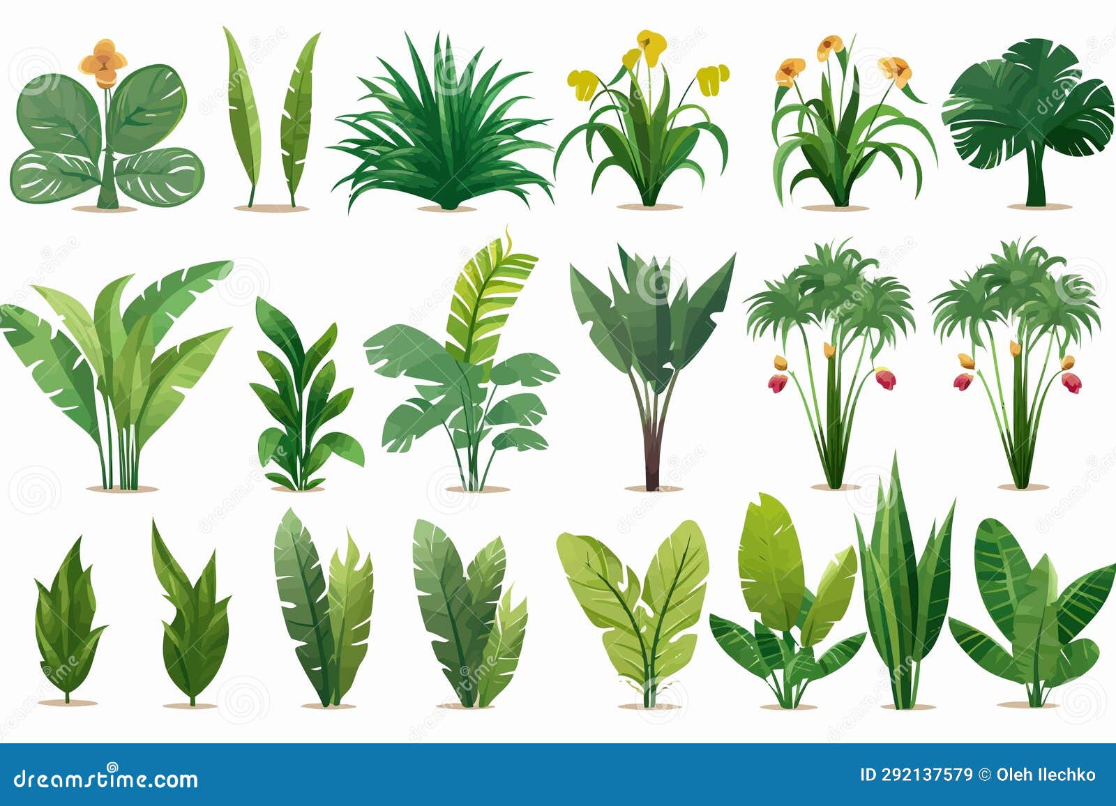 Rainforest Vegetation Set Vector Flat Isolated Vector Style ...