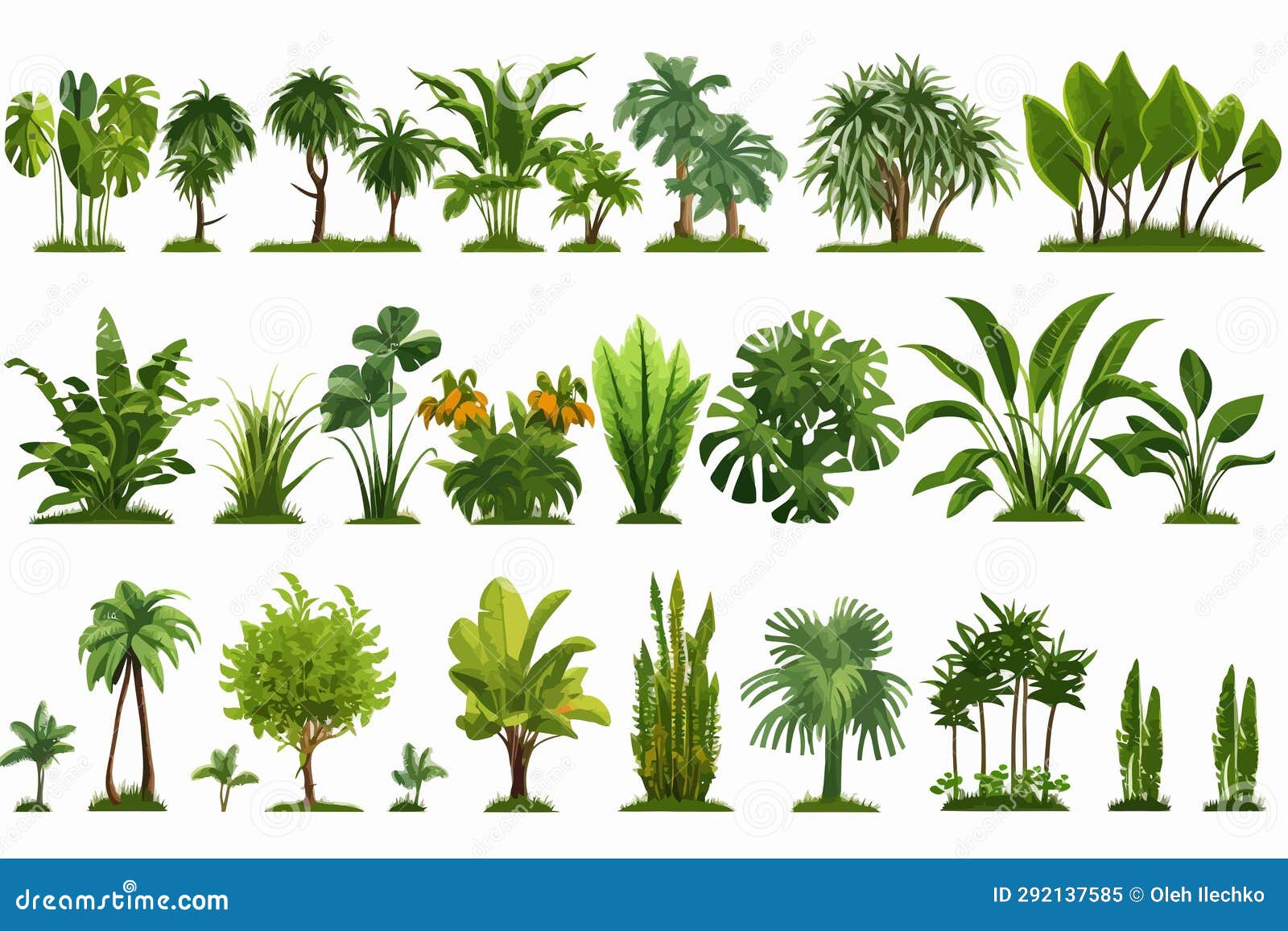 Rainforest Vegetation Set Vector Flat Isolated Vector Style ...