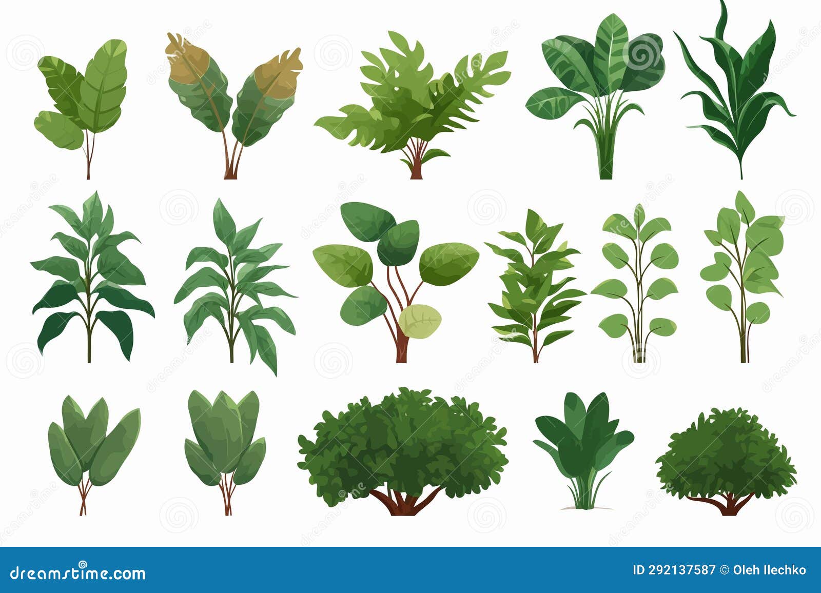 Rainforest Vegetation Set Vector Flat Isolated Vector Style ...