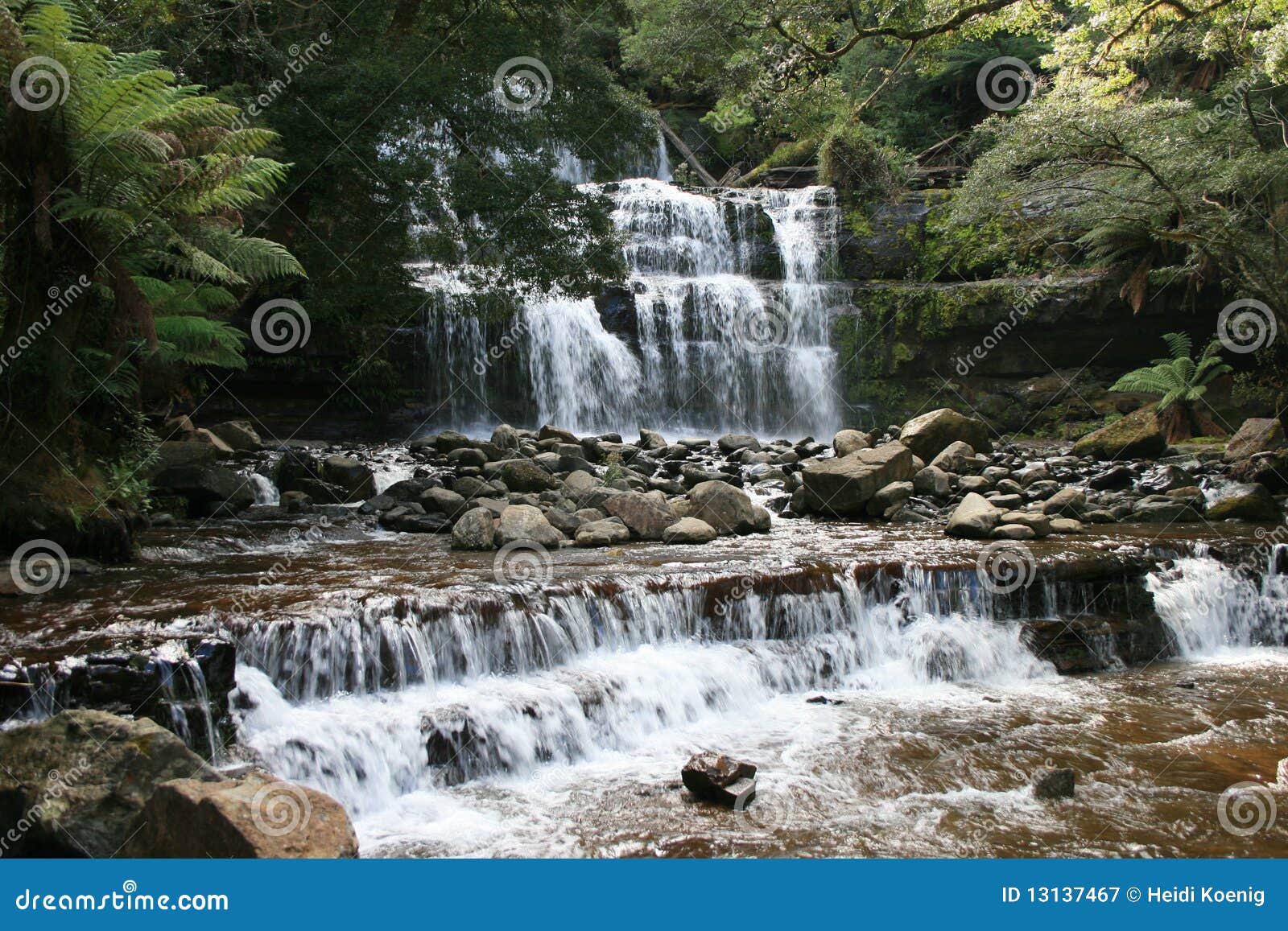 Rainforest Waterfall Royalty-Free Stock Photography | CartoonDealer.com ...