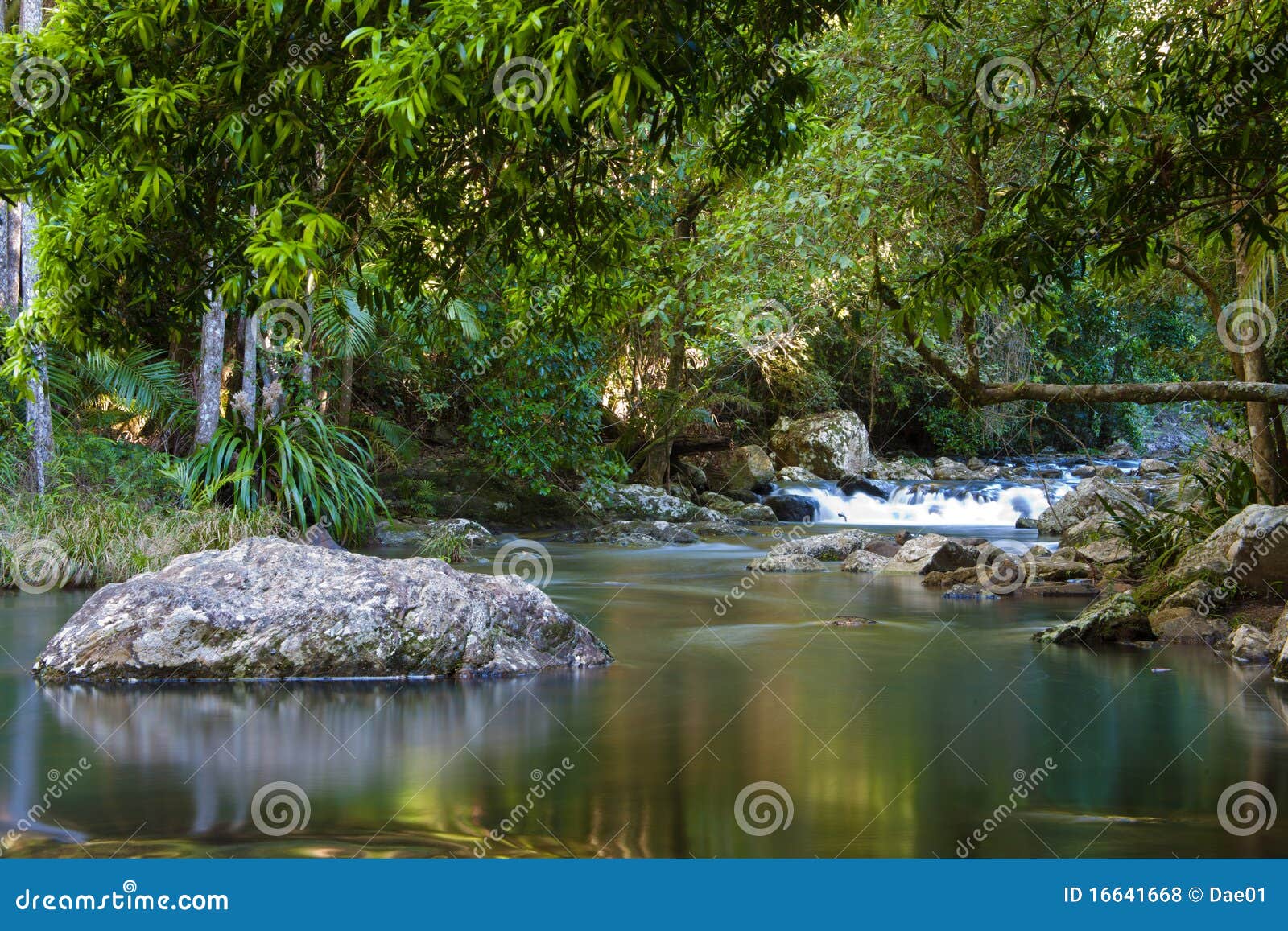 Rainforest creek stock photo. Image of rock, river, rainforest - 16641668