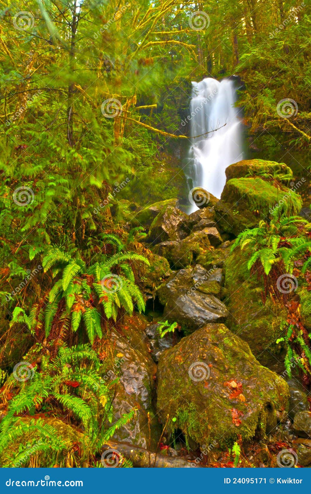Rainforest Waterfall stock image. Image of rock, long - 24095171