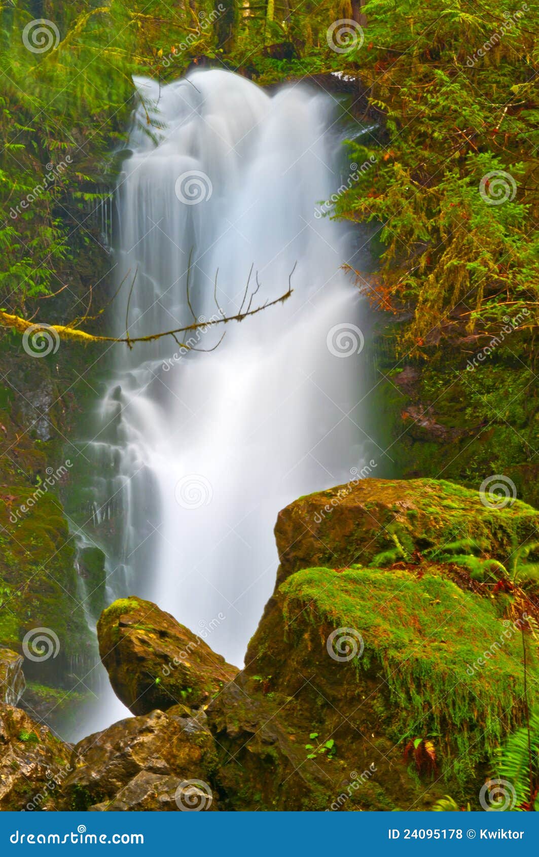Rainforest Waterfall stock photo. Image of leaf, national - 24095178