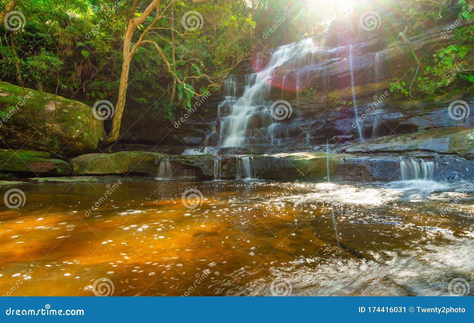Rainforest Waterfall Cascading Over the Rocks into a Shallow Stream ...