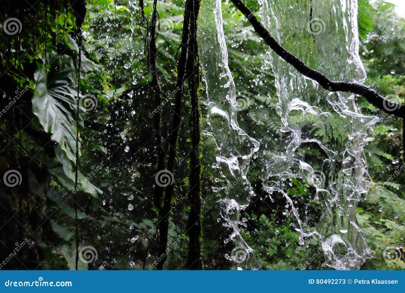 Rainforest Waterfall Royalty-Free Stock Photography | CartoonDealer.com ...