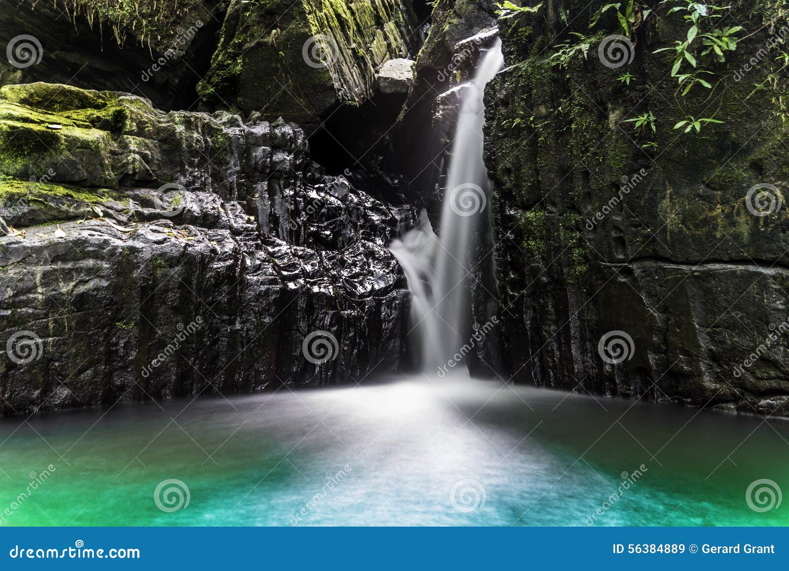 Rainforrest Waterfall stock image. Image of forrest, exposure - 56384889