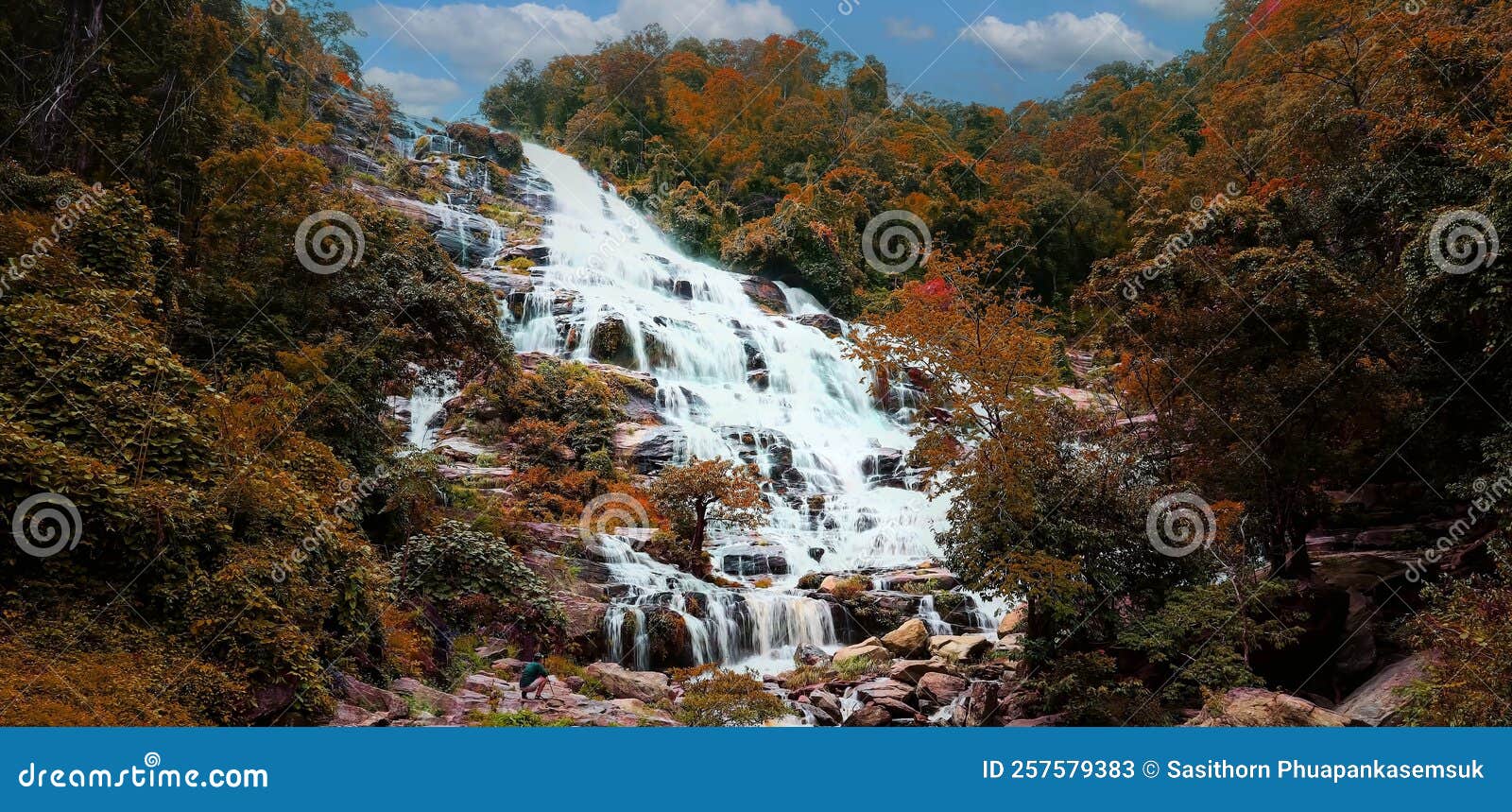 The Rainforest with a Waterfall-River-rocks-covered-with Autumn Tree ...
