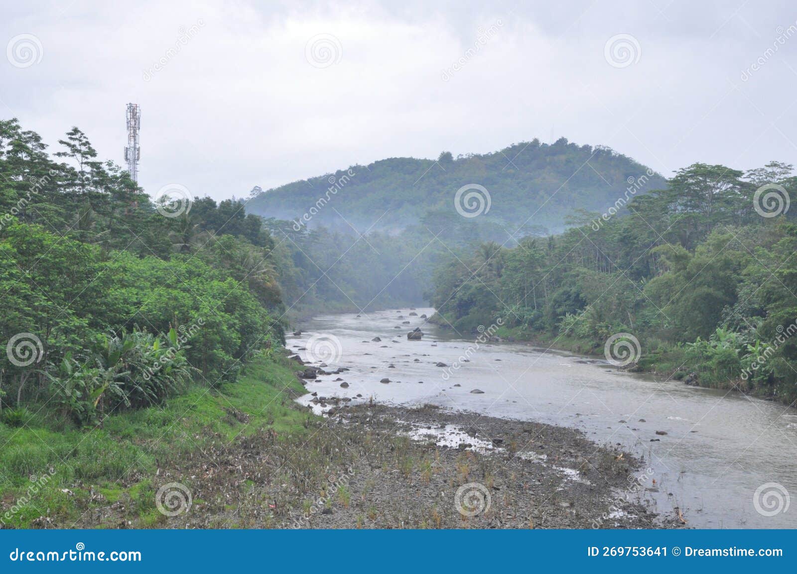 Rainforests and Shallow Rivers Stock Image - Image of rain, tree: 269753641