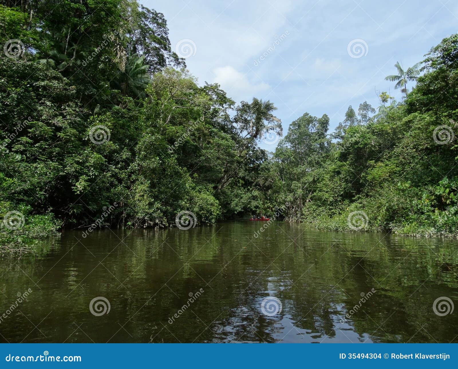 French Guyane: The Ara Bird In The Amazonas Region Belongs To Th Stock ...
