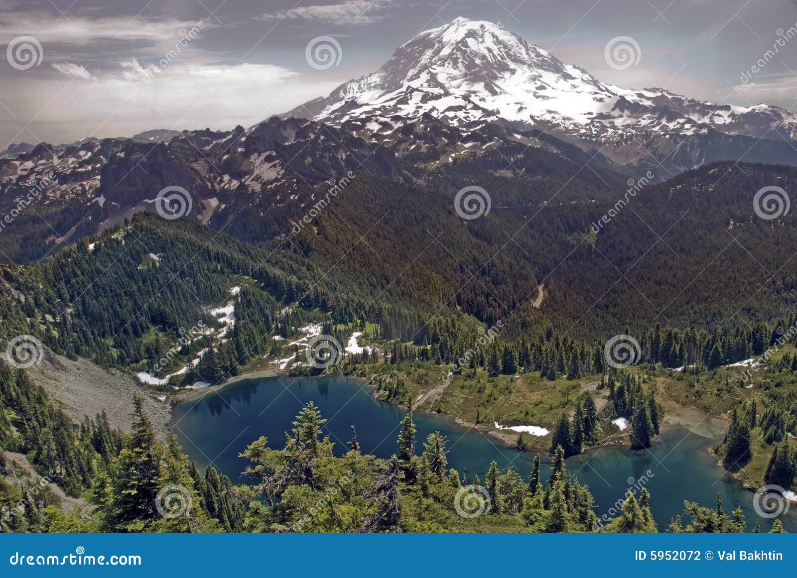 Rainier stock photo. Image of national, mountain, rainier - 5952072