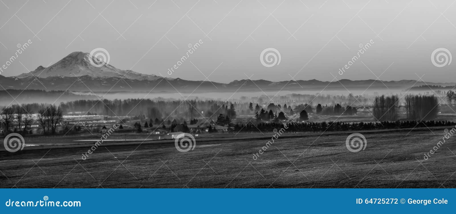 Rainier from Kent BW stock photo. Image of landscape - 64725272