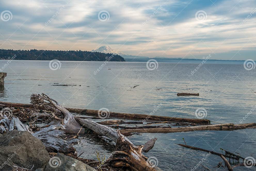 Rainier from Three Tree Point 4 Stock Image - Image of washington, peak ...
