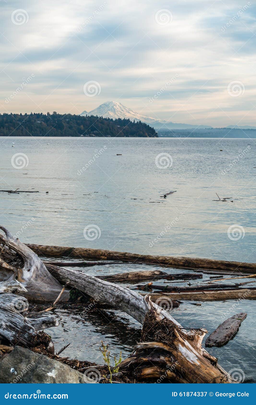 Rainier from Three Tree Point 3 Stock Image - Image of nature, state ...