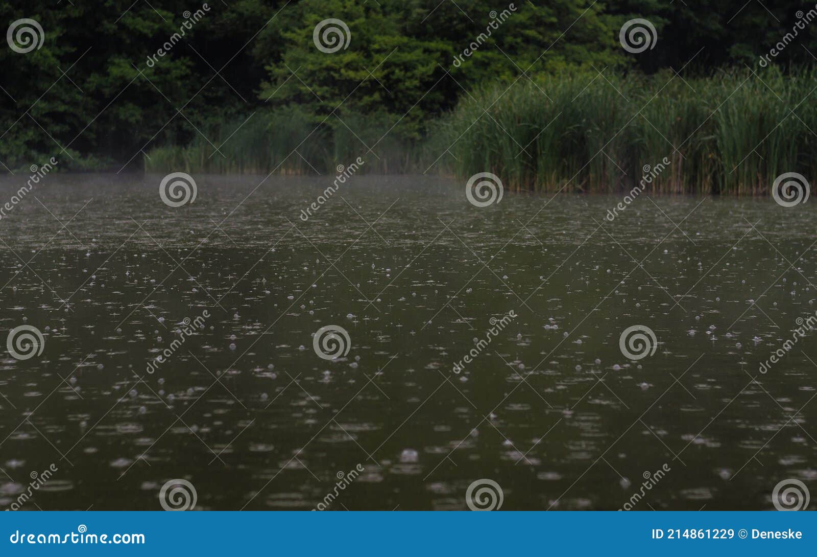 Raining above the lake stock image. Image of peaceful - 214861229