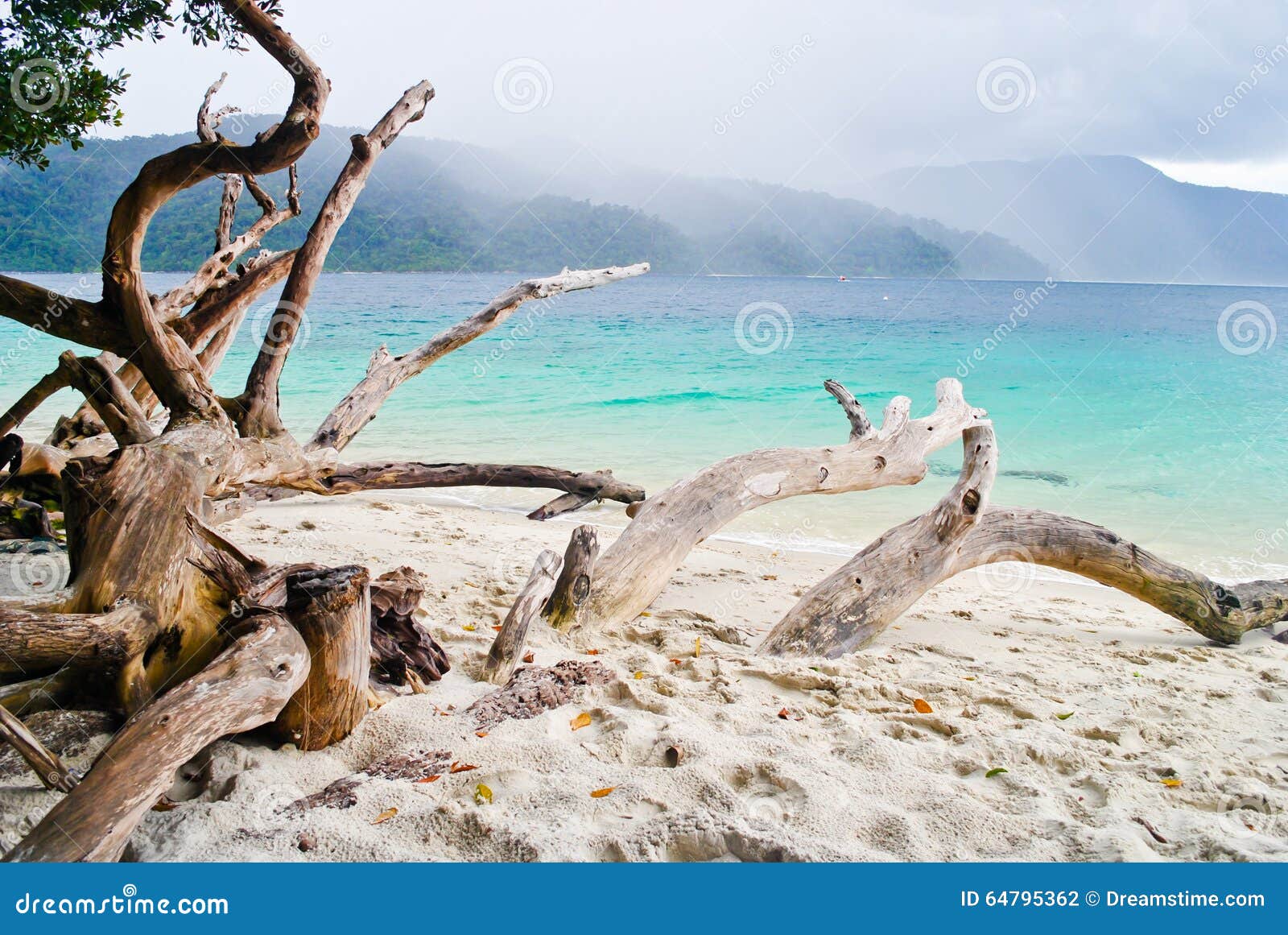 Raining on the beach stock photo. Image of ocean, nature - 64795362