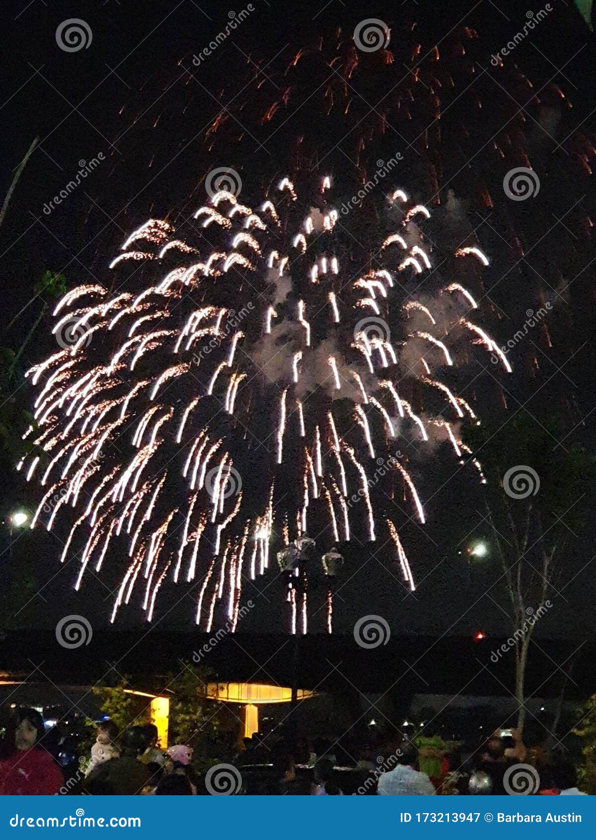 Raining Down Fireworks Tet Lunar New Year, Vietnam Stock Image - Image ...