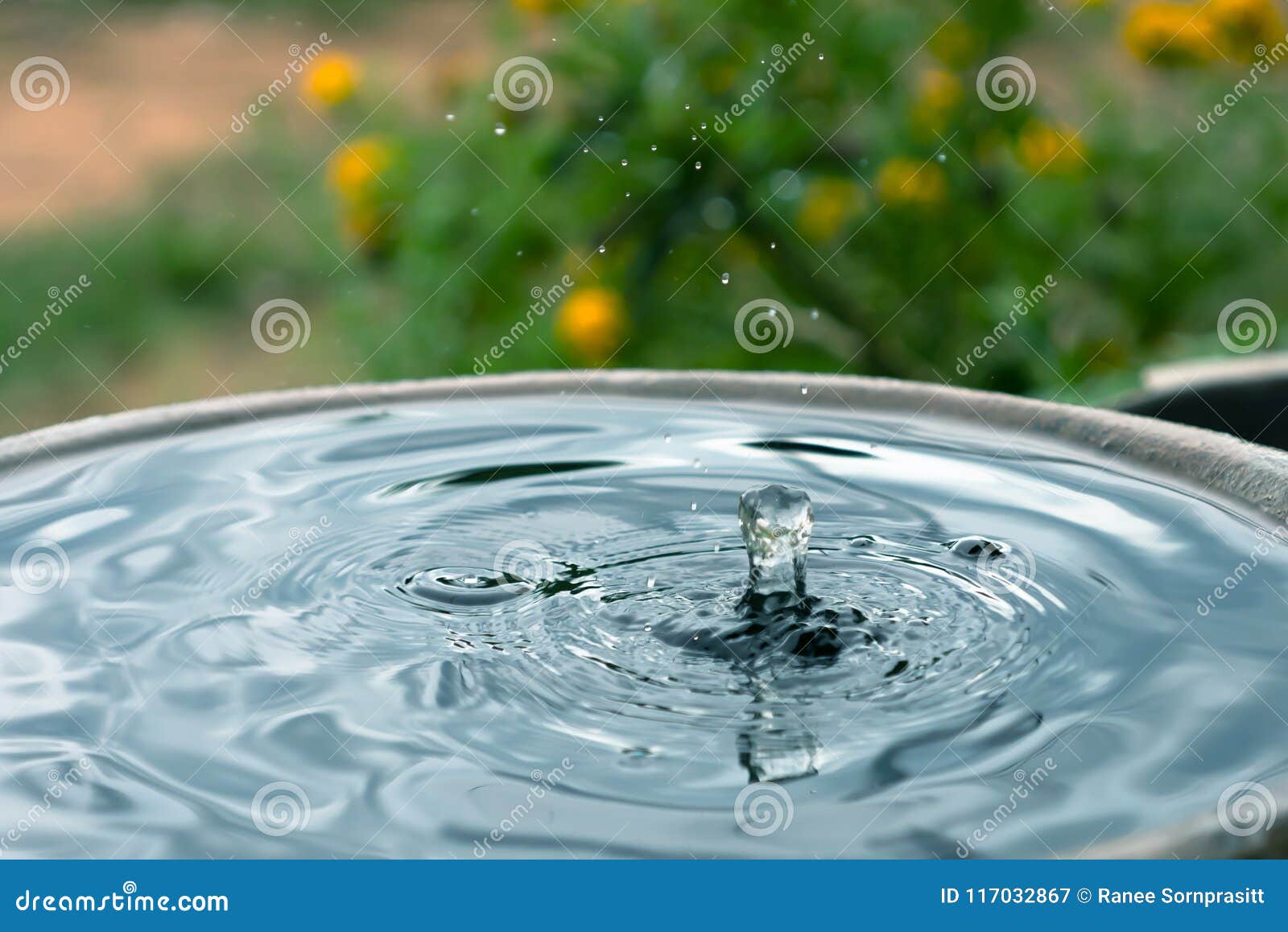 Raining Dripping on the Jar Stock Image - Image of drop, waves: 117032867