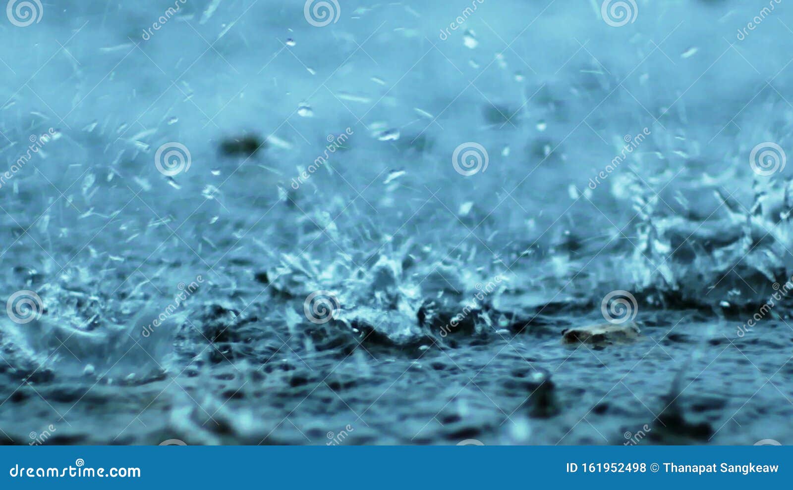 Raining Droplets Drop Falling on Ground of Wet Cements. Hard Rain Drop ...