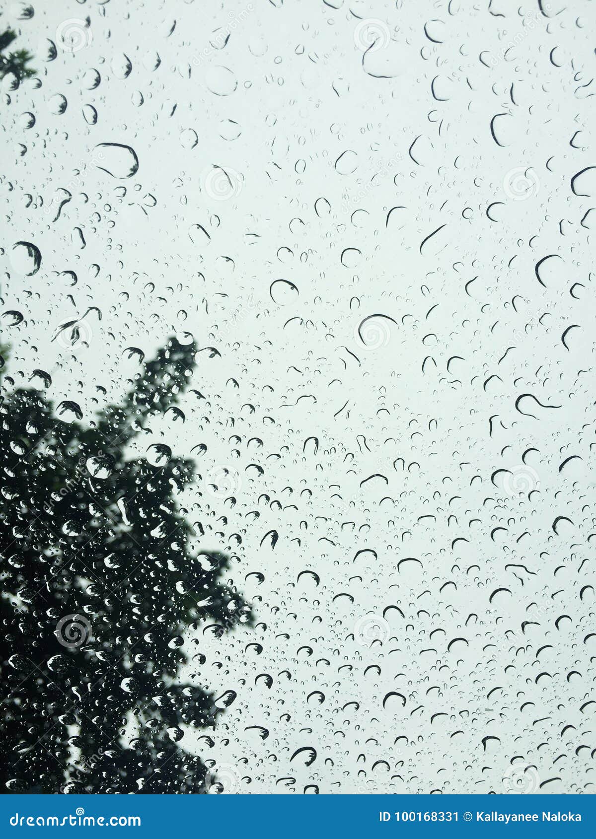 Raining Droplets on on the Windshield Stock Image - Image of drops ...