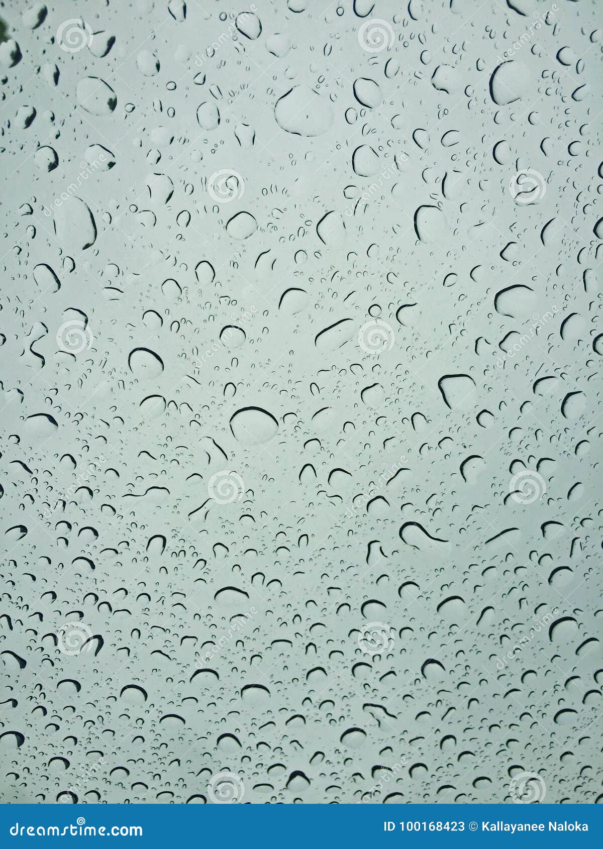 Raining Droplets on on the Windshield Stock Image - Image of liquid ...