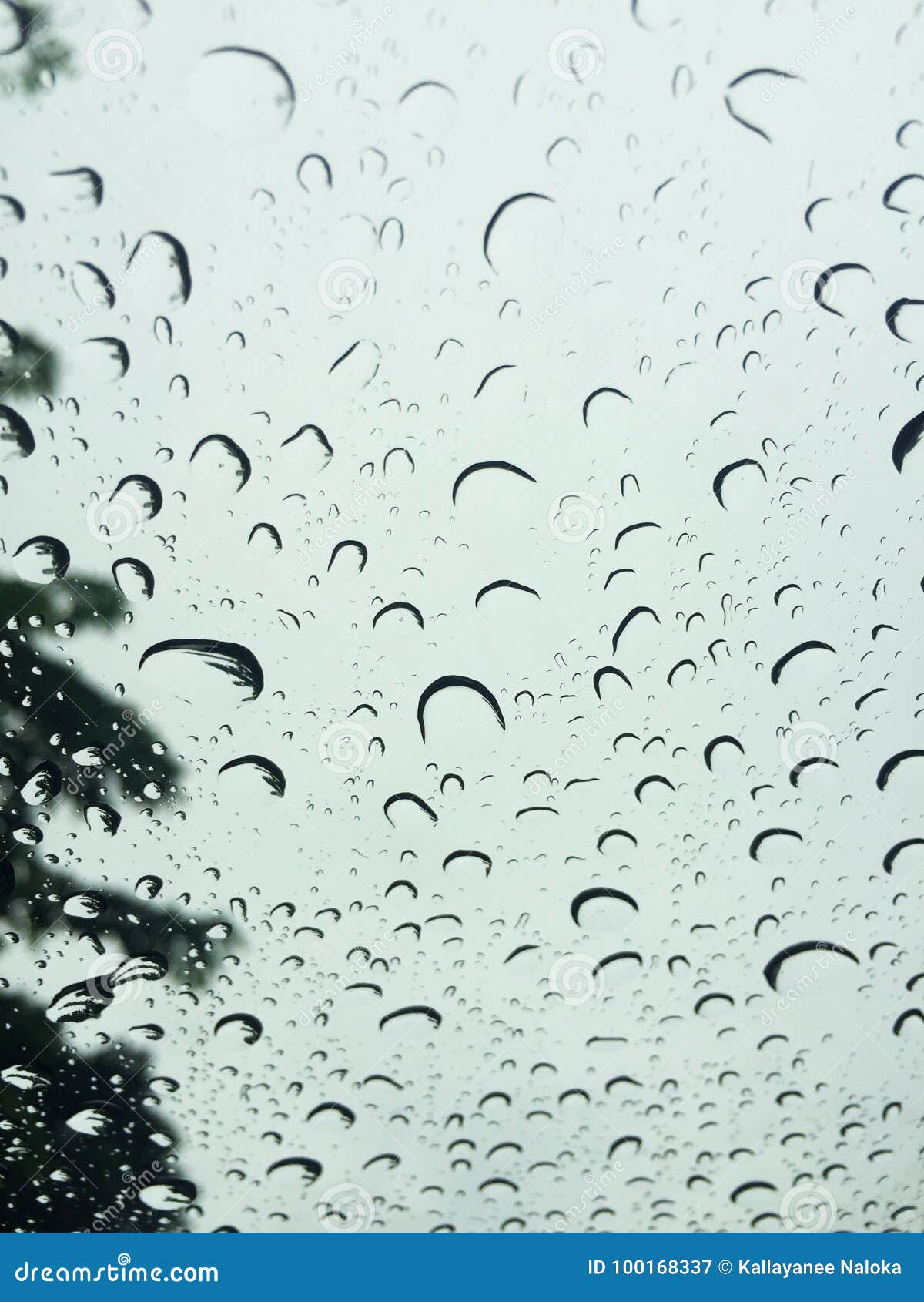 Raining Droplets on on the Windshield Stock Image - Image of macro ...