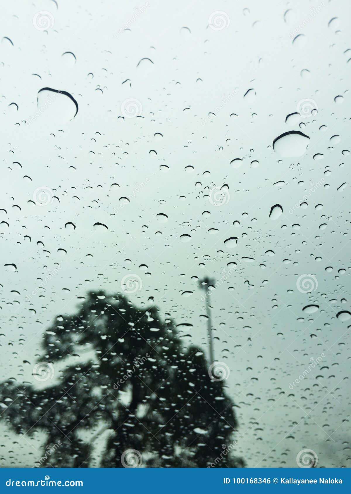 Raining Droplets on on the Windshield Stock Photo - Image of raindrop ...