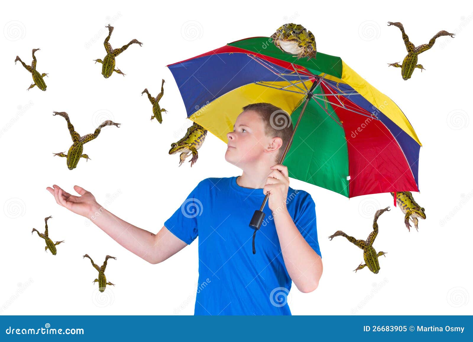 It S Raining Frogs