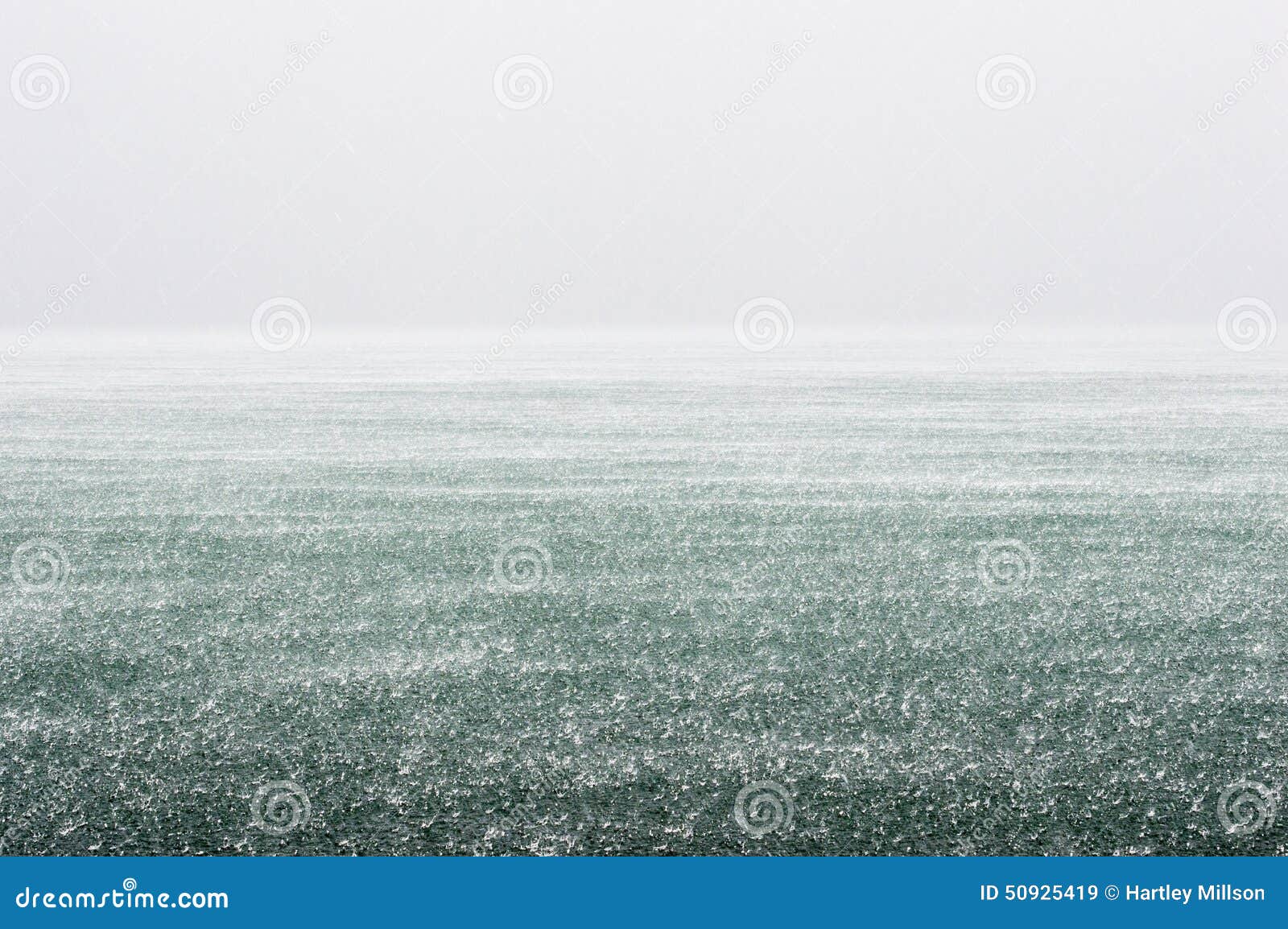 Raining heavily on a lake stock image. Image of water - 50925419