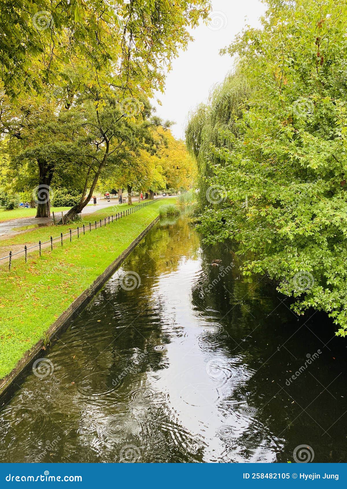 Raining in the park stock image. Image of park, water - 258482105