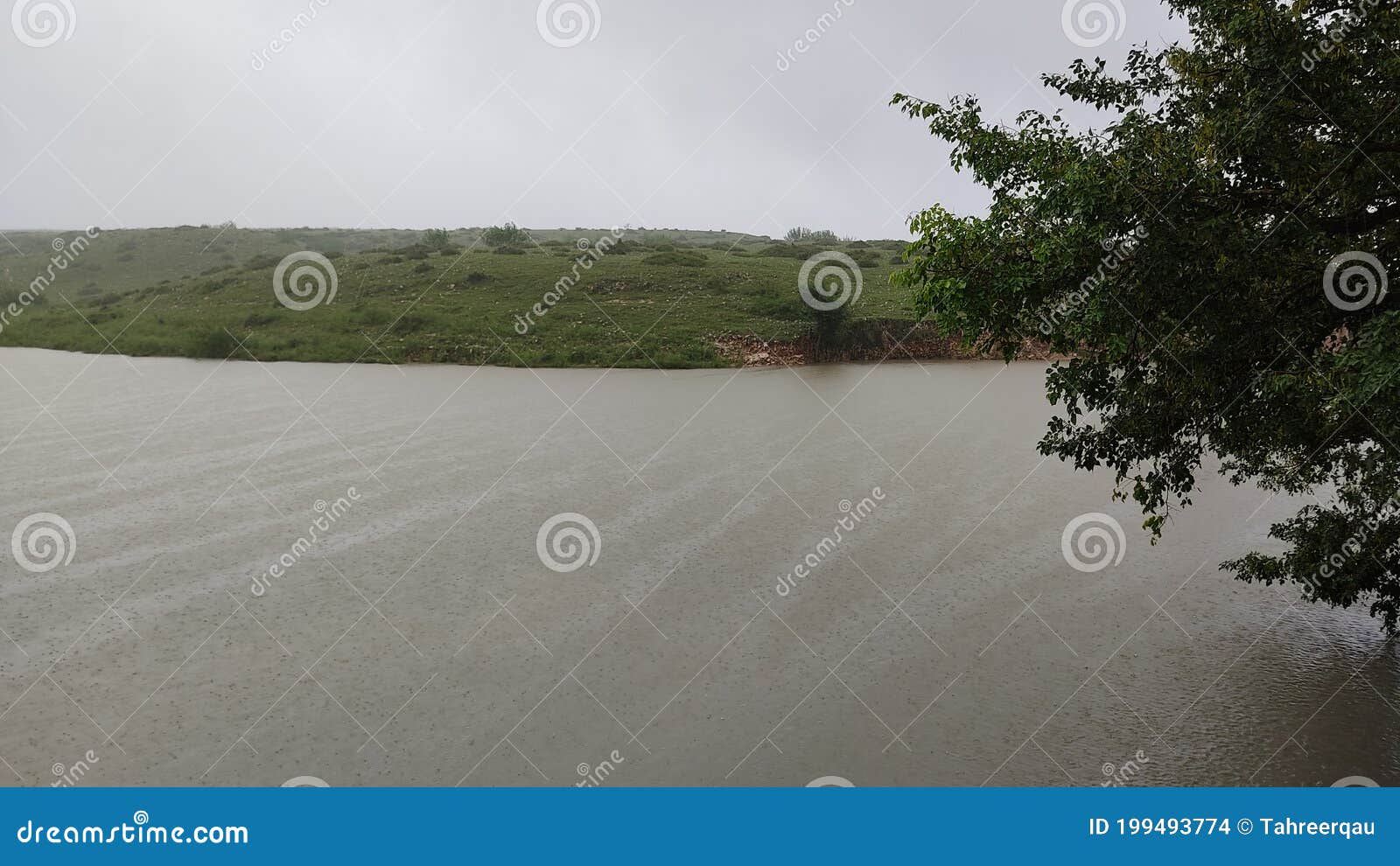 Raining in a Pond Filled with Water Stock Photo - Image of monson ...