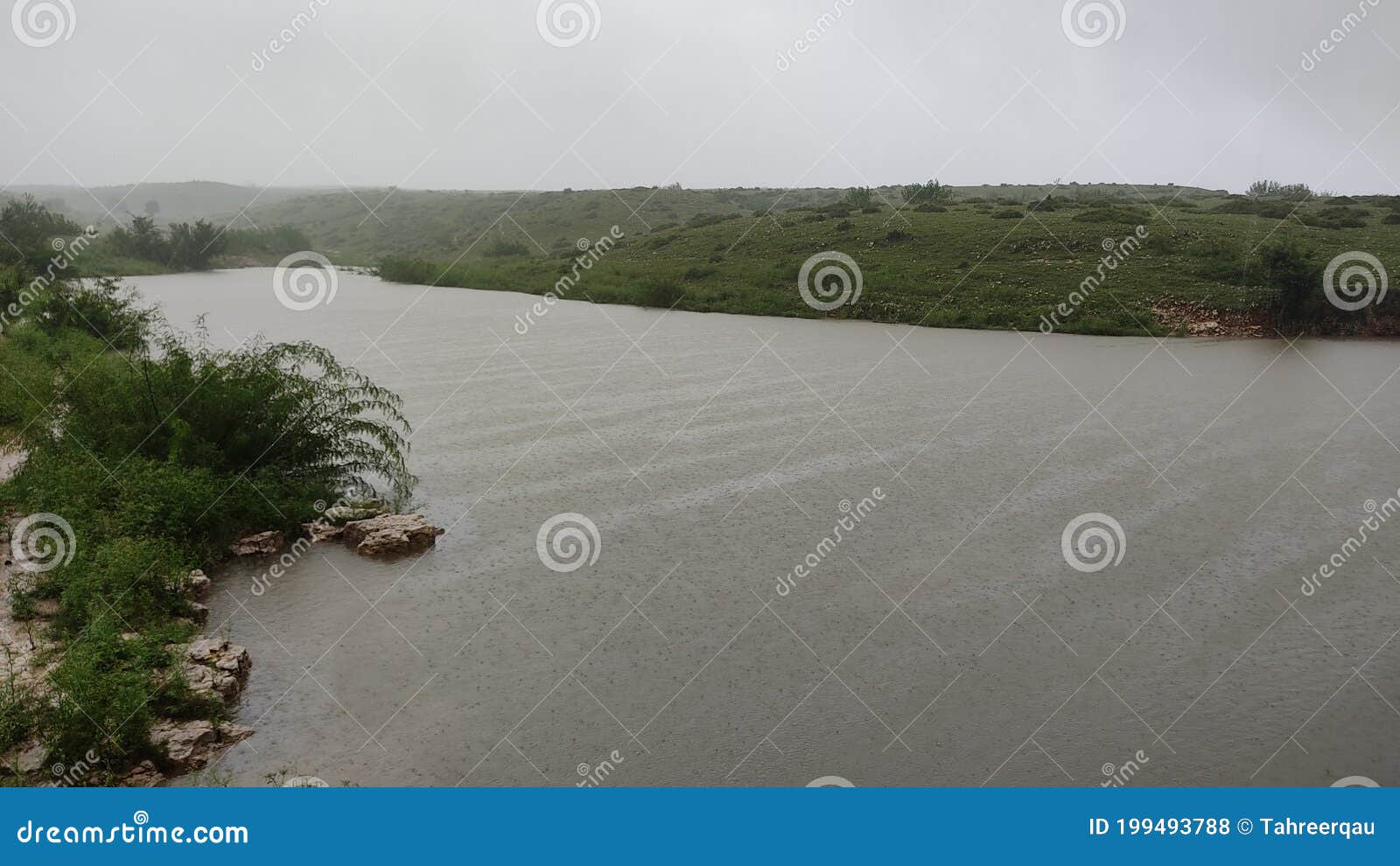 Raining in a Pond Filled with Water Stock Photo - Image of pond, rainy ...